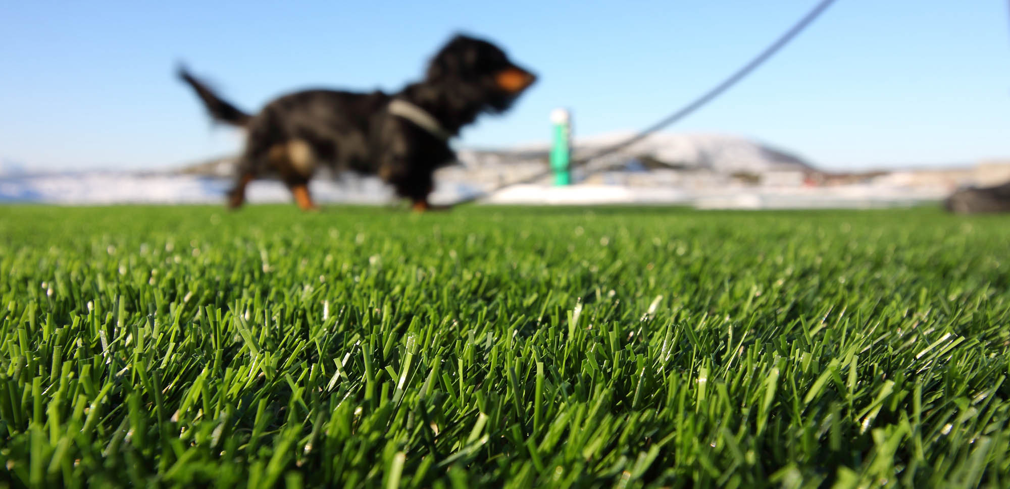 Standard Turf - Premium Artificial Grass Manufacturer in UAE